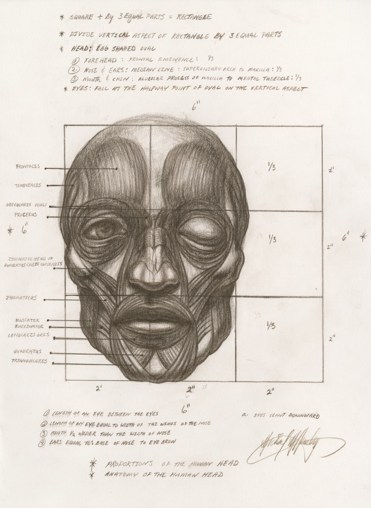 Michael Hensley, Artistic Human Anatomy, The Human Head